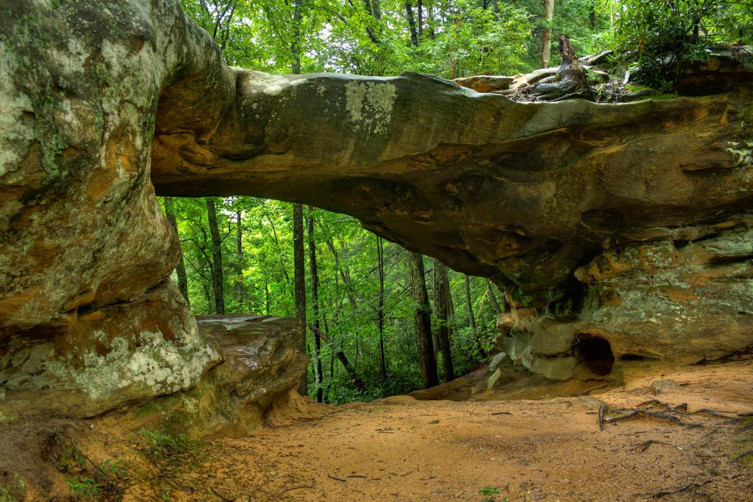 Hike The Stunning Trails Of Daniel Boone National Forest | TouristSecrets