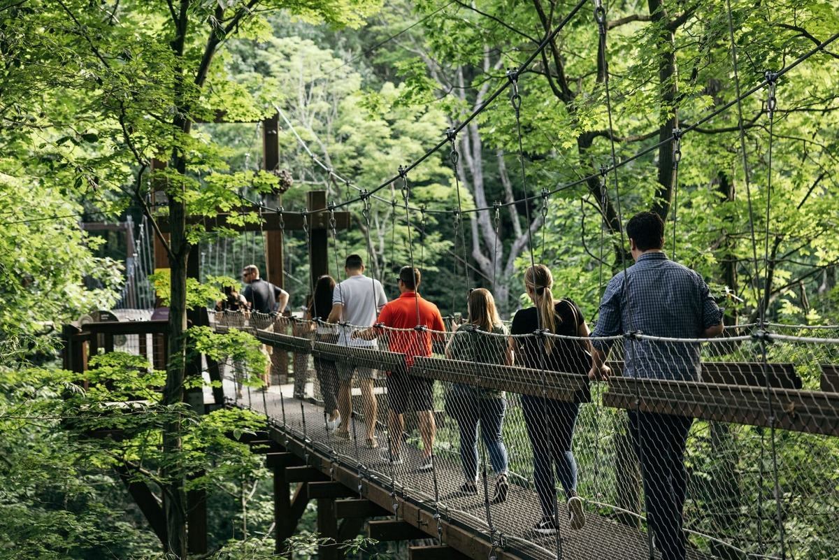 Soar Above Nature At Holden Arboretum's Tower & Walk | TouristSecrets