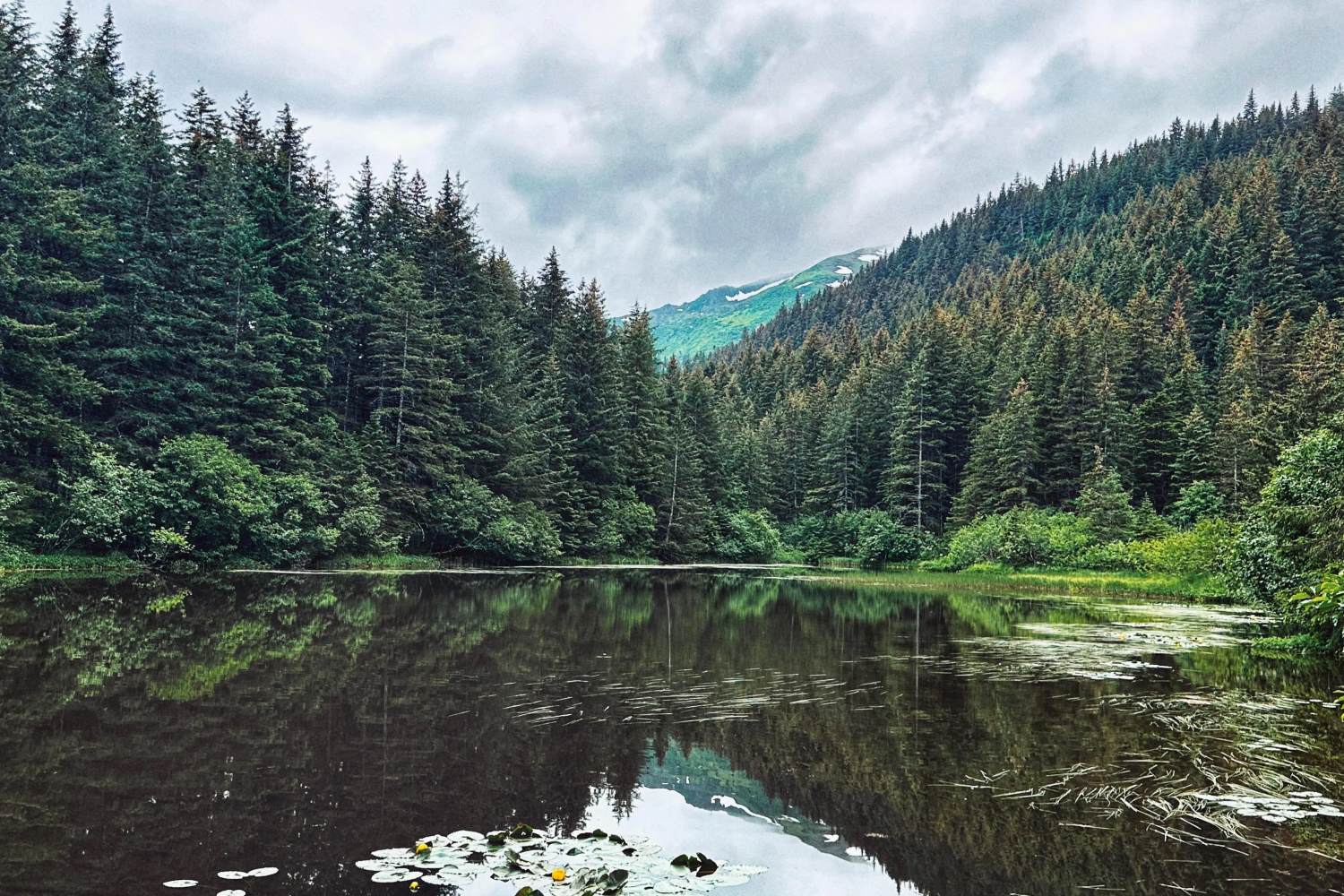 Stroll Through Seward's Stunning Two Lakes Park | TouristSecrets