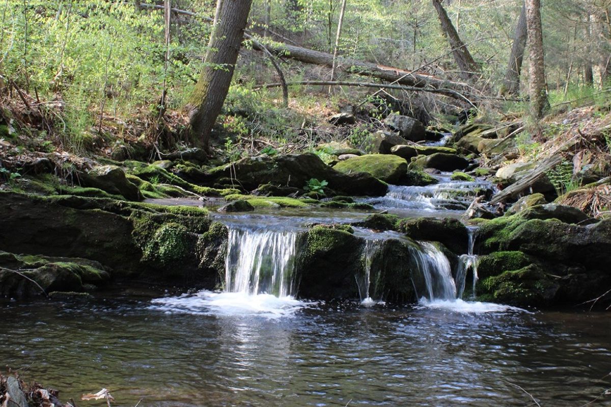 Unveil The Magic Of Steep Rock Preserve | TouristSecrets