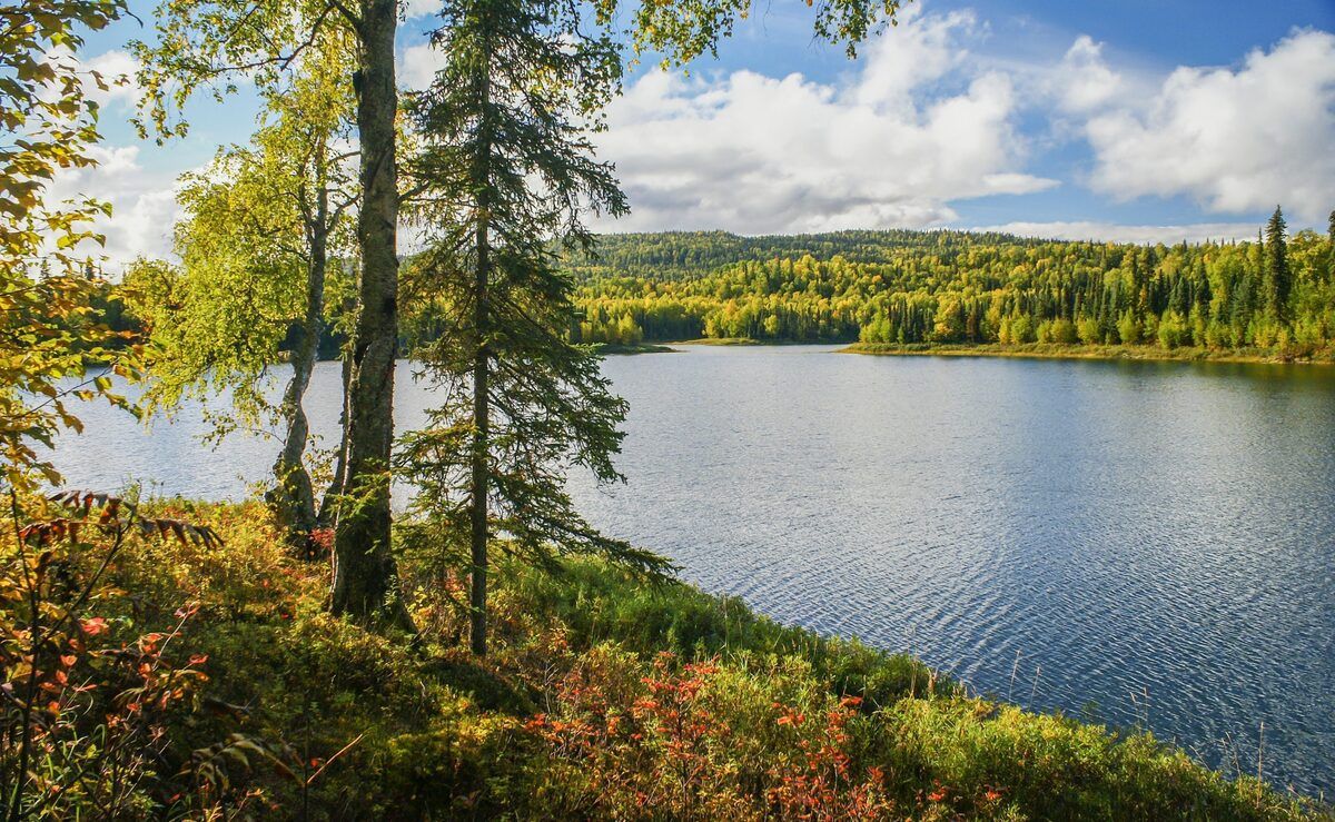 Wander The Wonders Of Talkeetna Lakes Park Trails | TouristSecrets