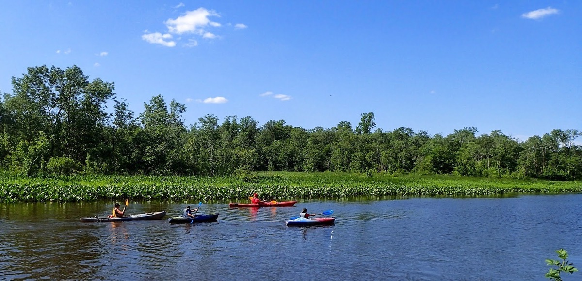 Adventure Awaits At Martinak State Park's Choptank River | TouristSecrets