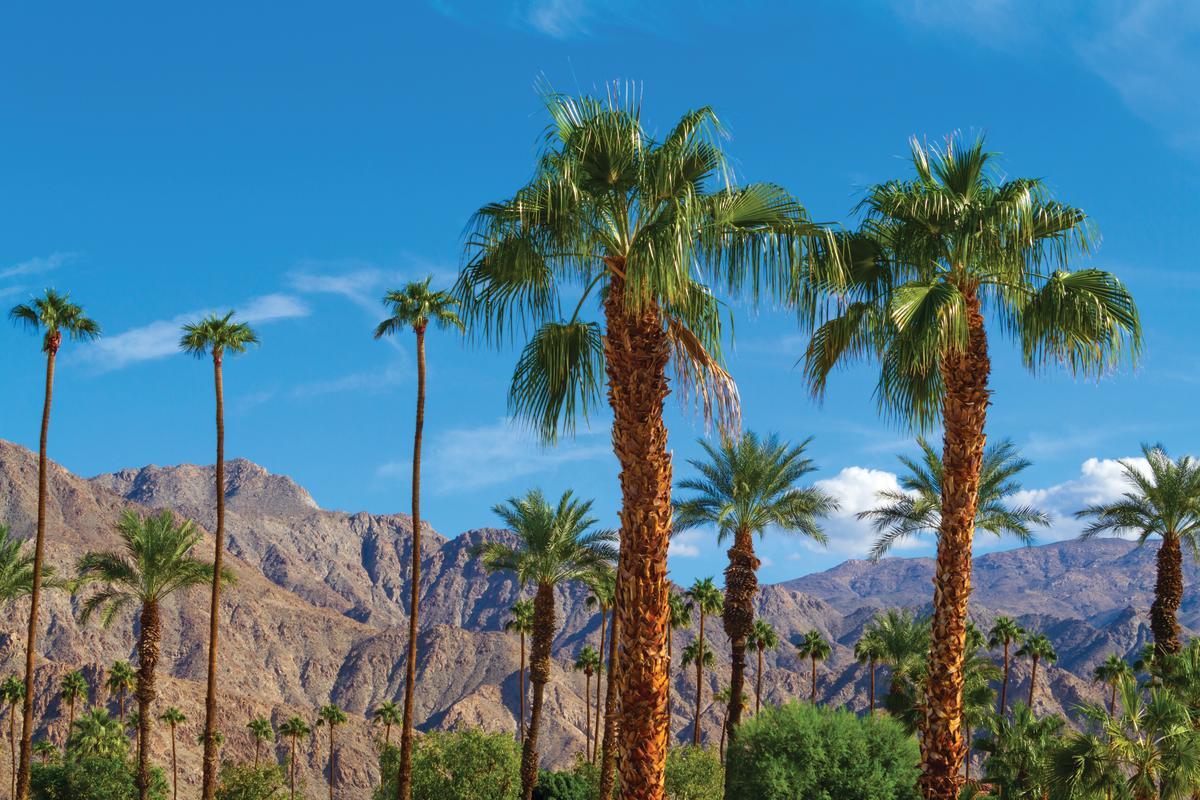 Secrets Of Palm Springs California | TouristSecrets