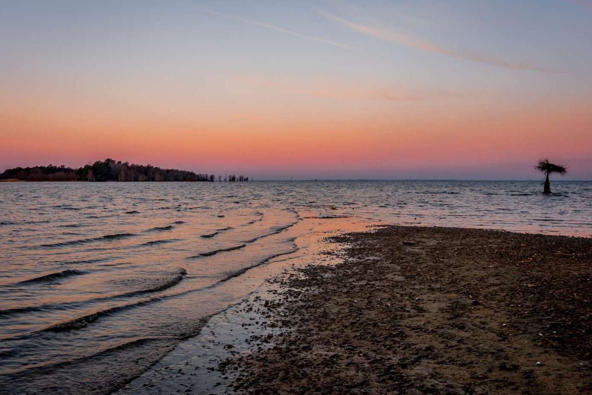 South Carolina's Secret Lake Warren State Park Mystery | TouristSecrets