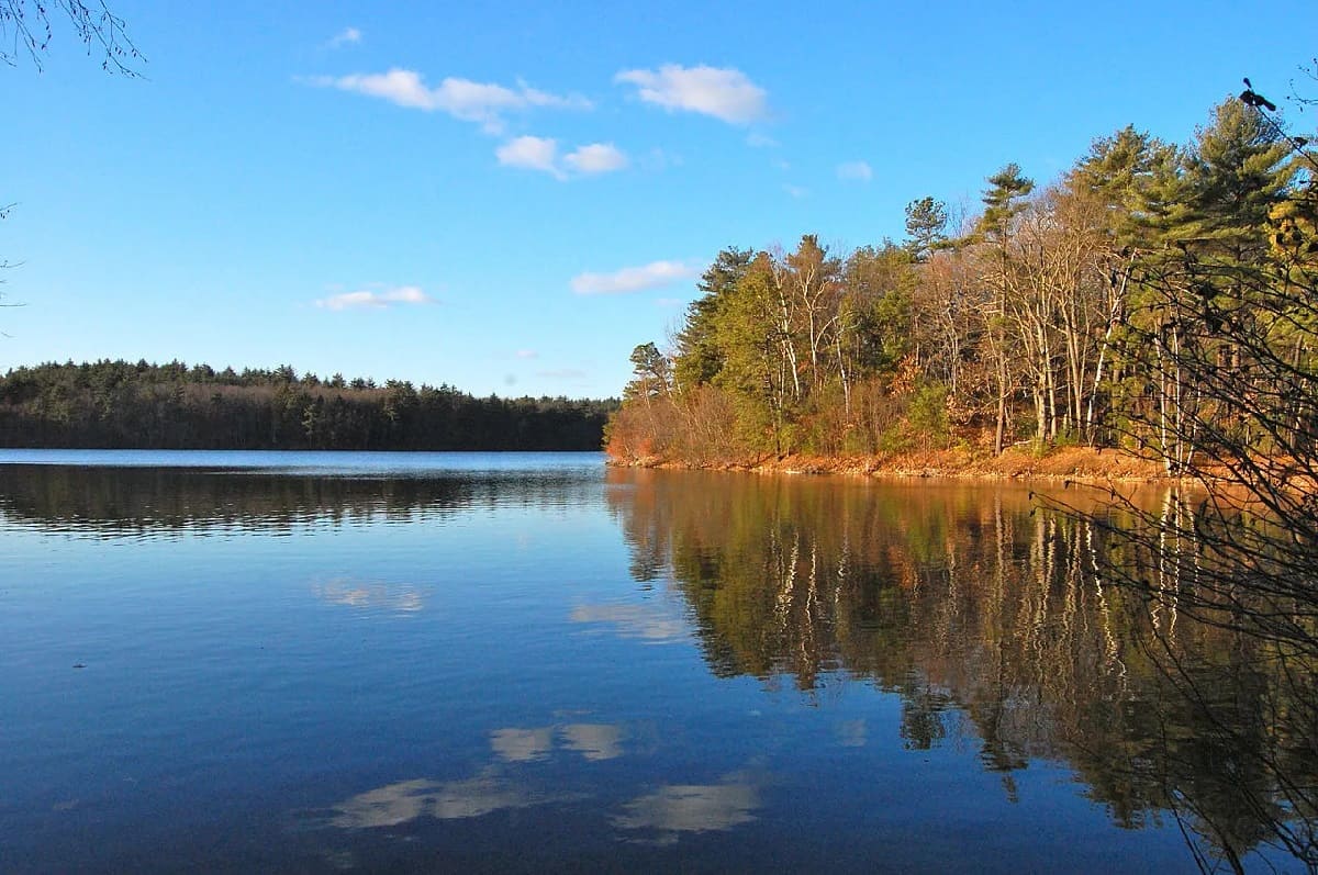 Thoreau's Tranquil Oasis At Walden Pond | TouristSecrets