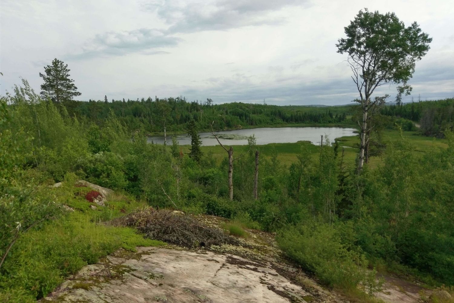 Unveil Gunflint Trail's Rich History At Chik-Wauk Museum | TouristSecrets