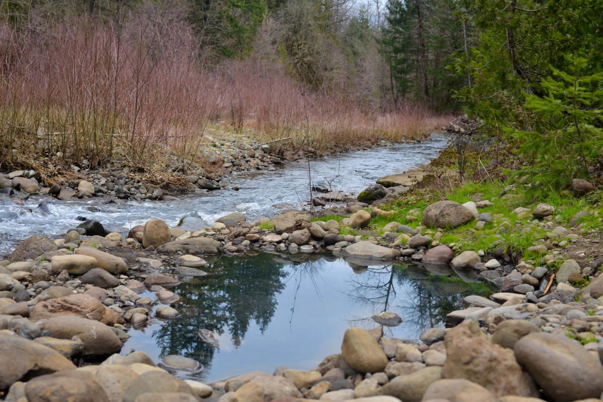Hidden Hot Springs Of Oregon's McCredie | TouristSecrets