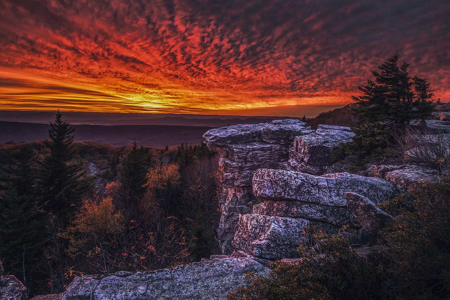 Hidden Paths Of West Virginia's Bear Rocks | TouristSecrets