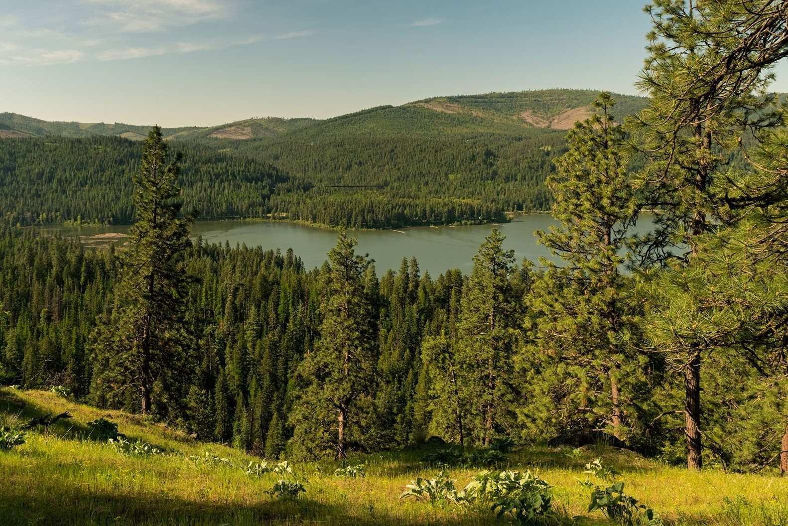 Idaho's Secret Heyburn State Park And Lake Chatcolet Coves | TouristSecrets
