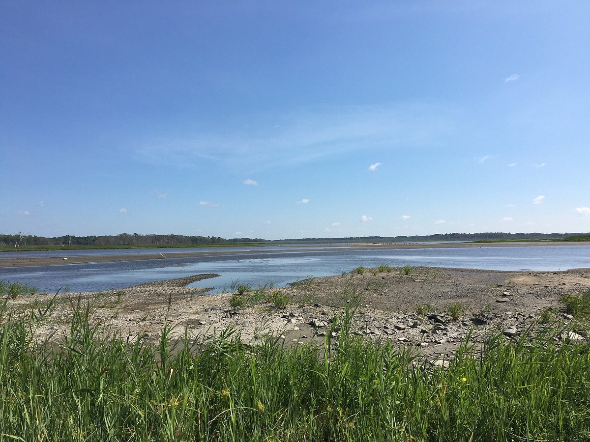 Secrets Of Delaware's Prime Hook Wildlife Refuge | TouristSecrets