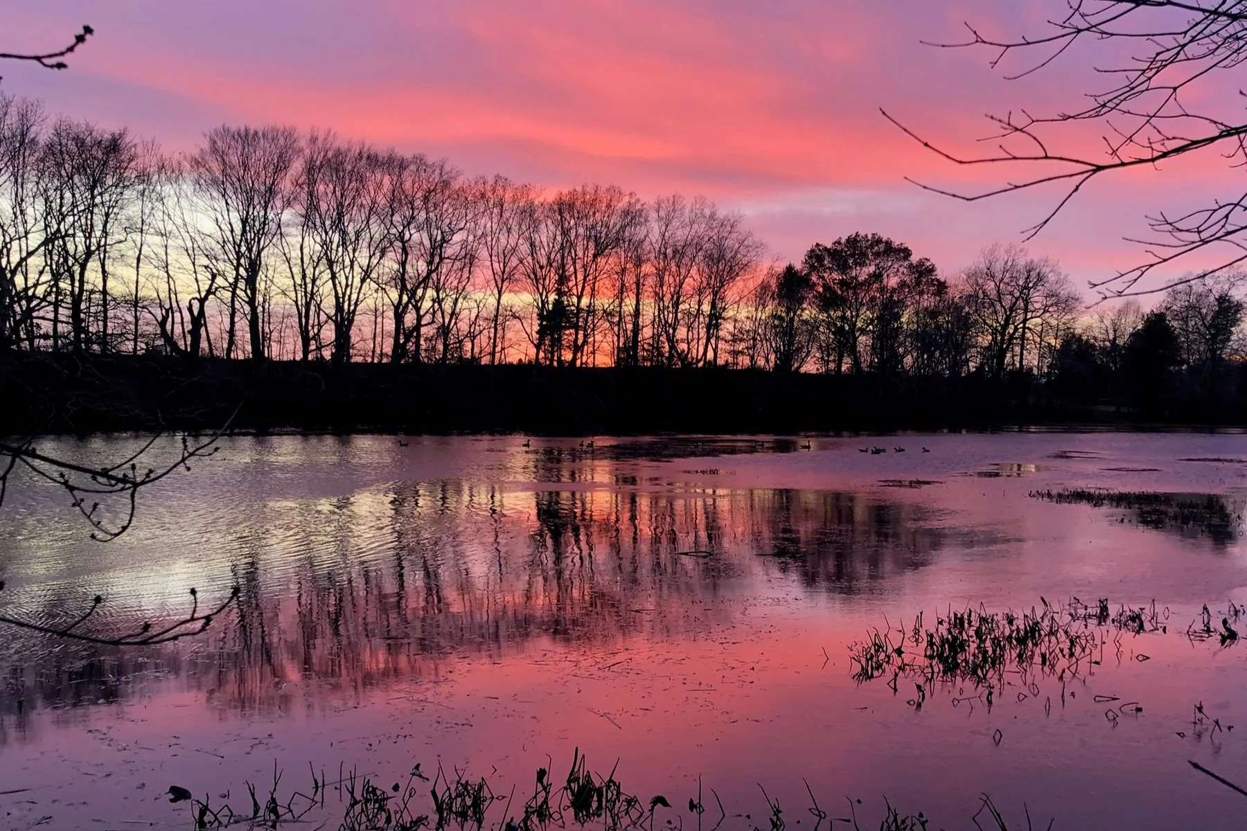Secrets Of Rhode Island's Queen's River | TouristSecrets
