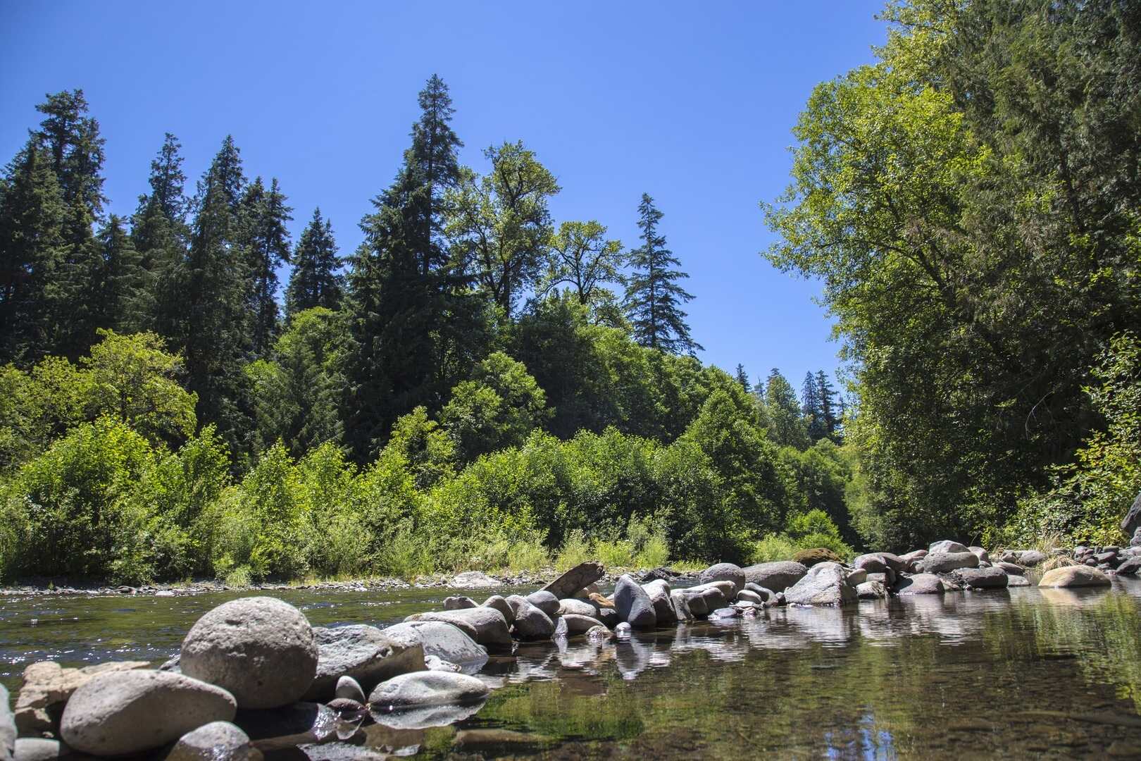 Hidden Springs Of Oregon's McCredie Hot | TouristSecrets
