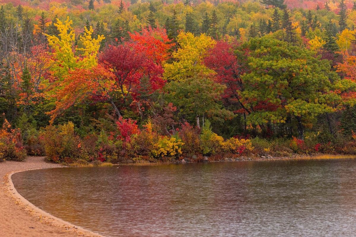 Hidden Trails Around Lake Warren South Carolina | TouristSecrets