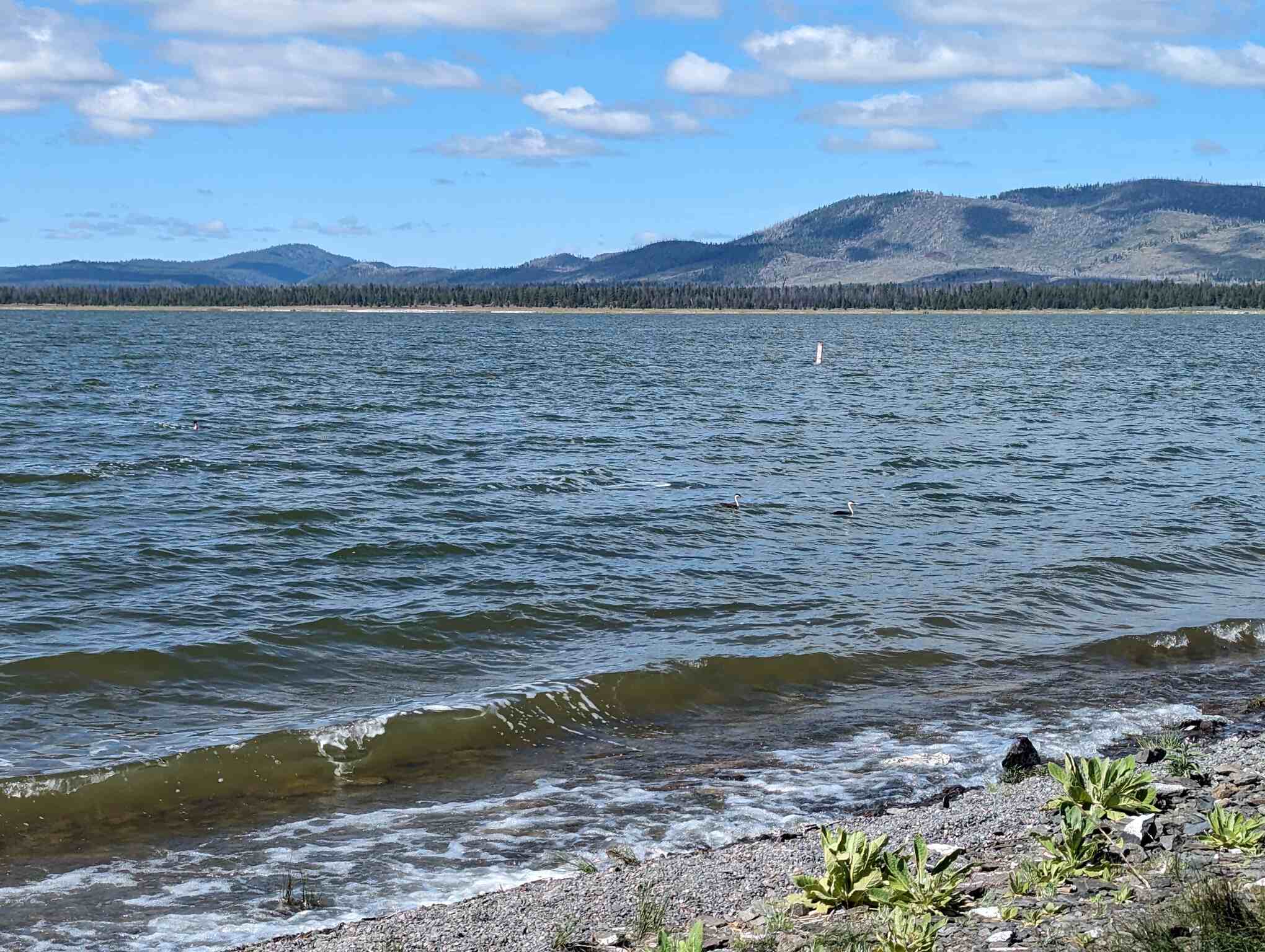 Mysteries Of California's Eagle Lake | TouristSecrets