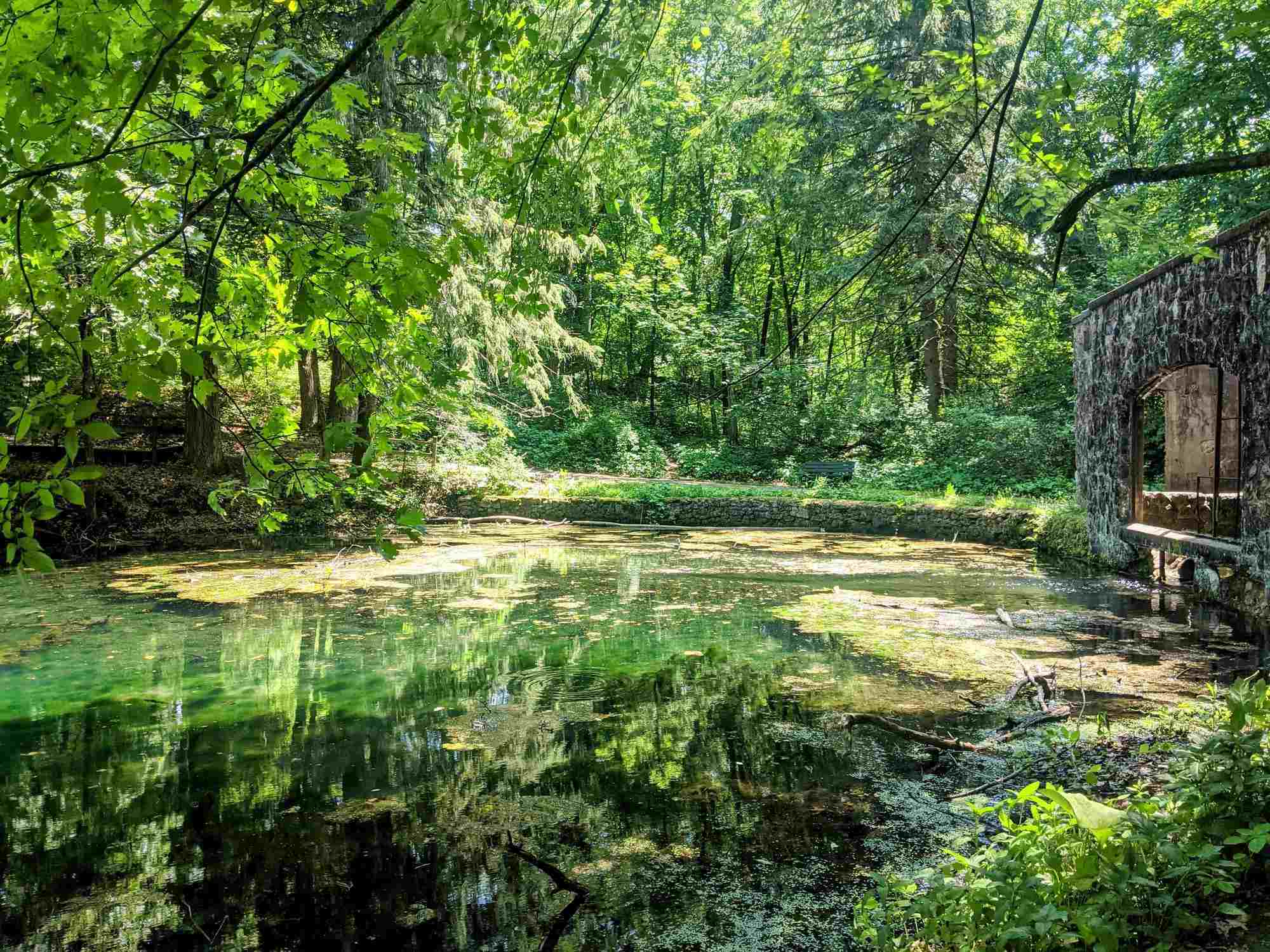 Mystery Of Wisconsin's Paradise Springs | TouristSecrets