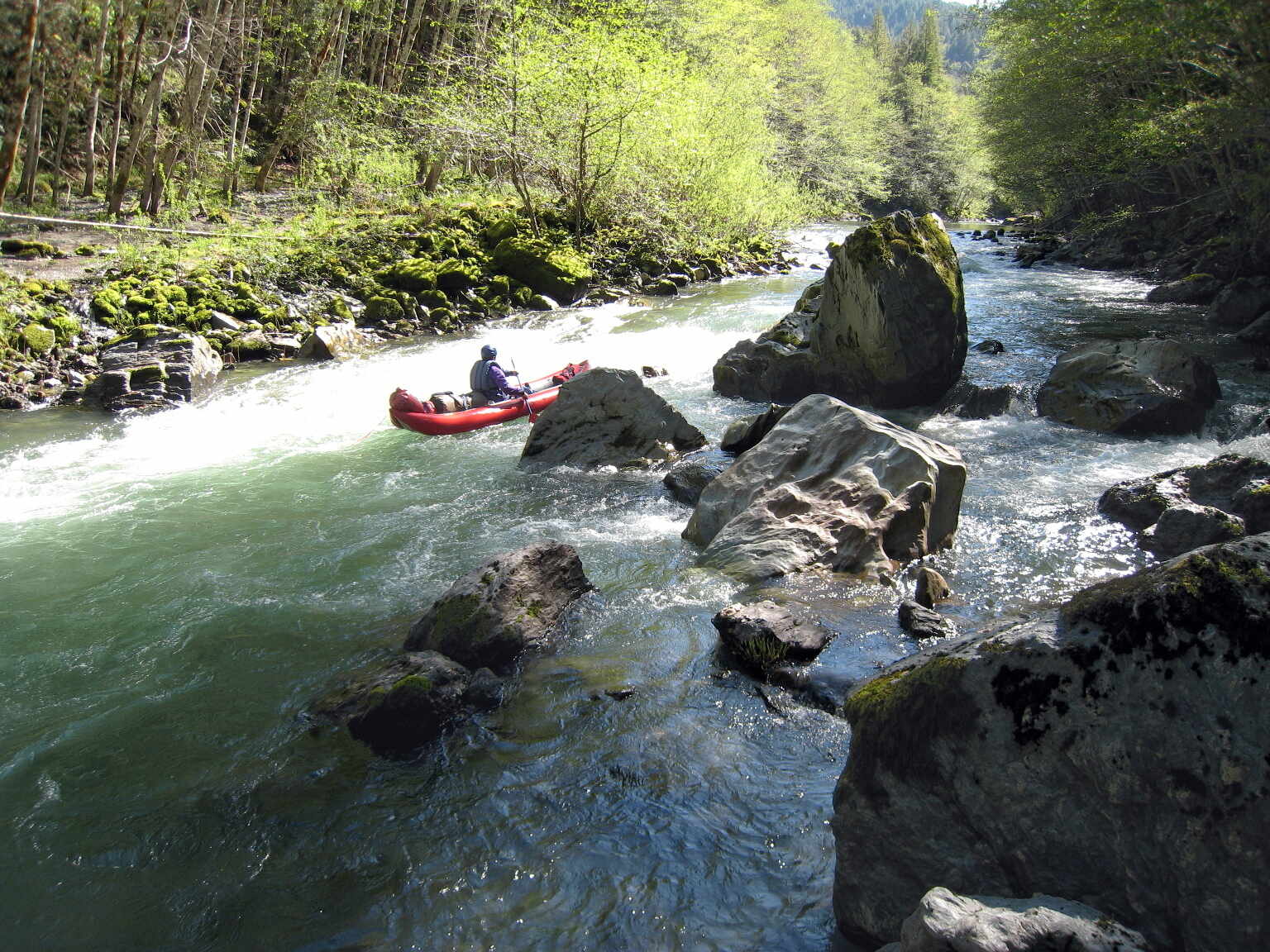 Secrets Of Redwood Creek's Sacred Waters | TouristSecrets