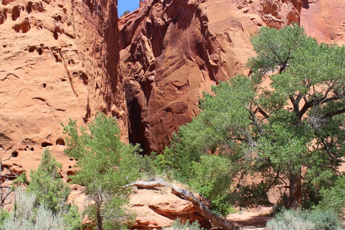 Secrets Of Utah's Long Canyon | TouristSecrets