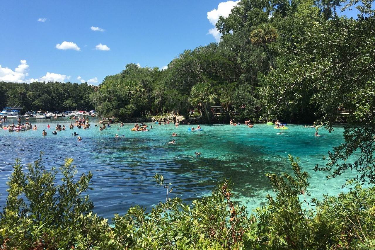 Secrets Of Florida's Salt Springs | TouristSecrets