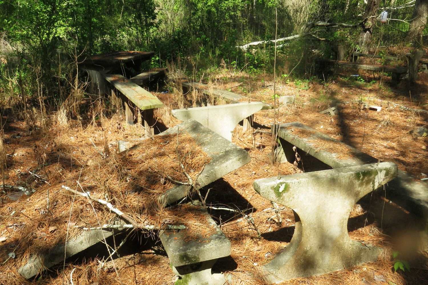 Secrets Of Georgia's Spirit Creek | TouristSecrets