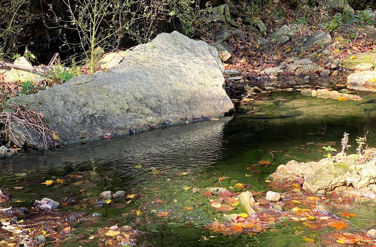 Secrets Of Iowa's White Pine Springs | TouristSecrets