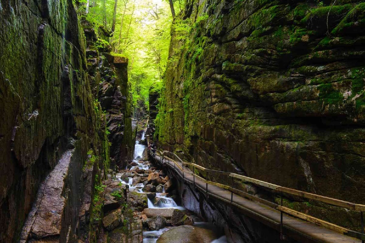 Secrets Of New Hampshire's Flume Gorge Springs | TouristSecrets