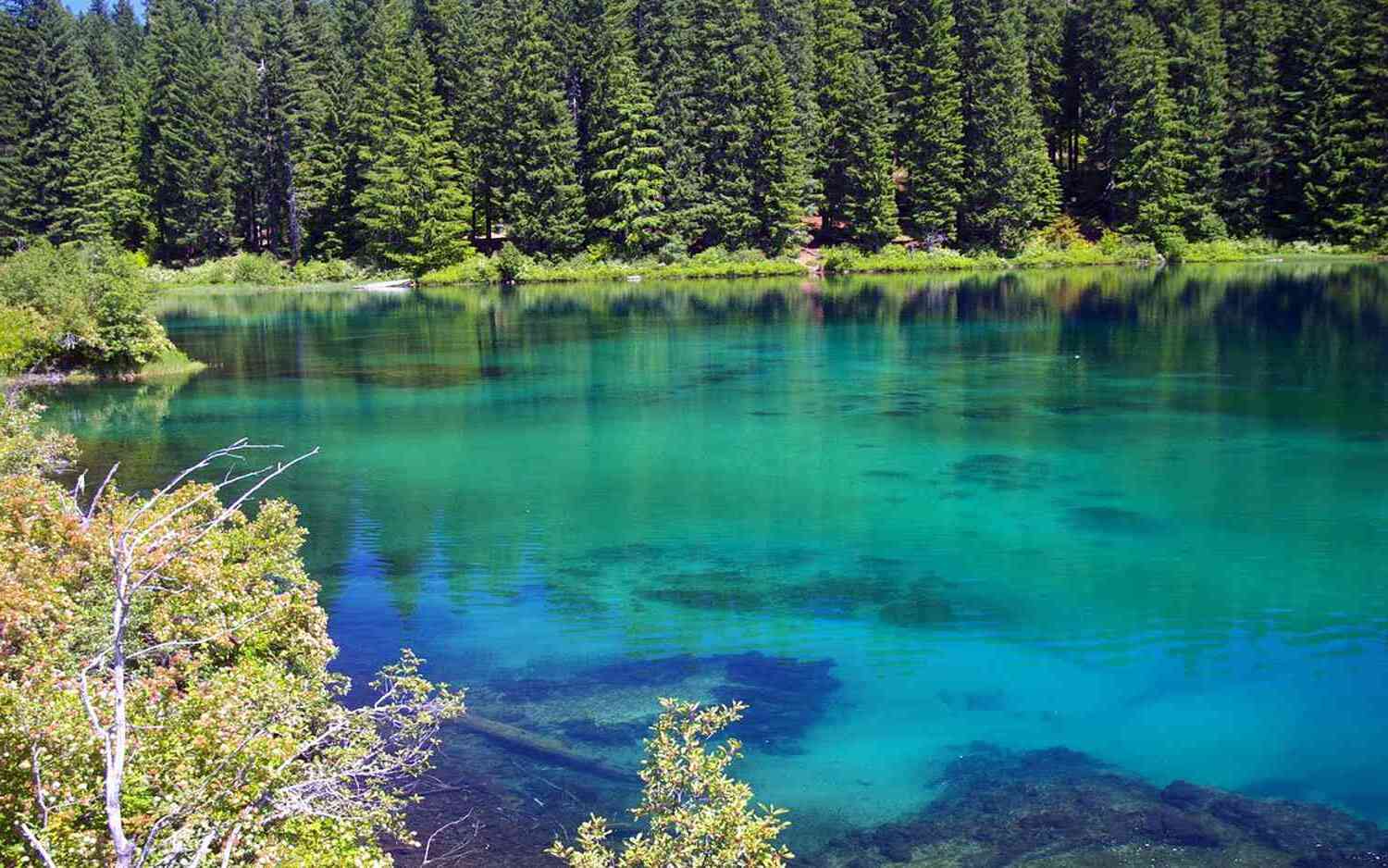 Secrets Of Oregon's Crystal Lake Springs | TouristSecrets