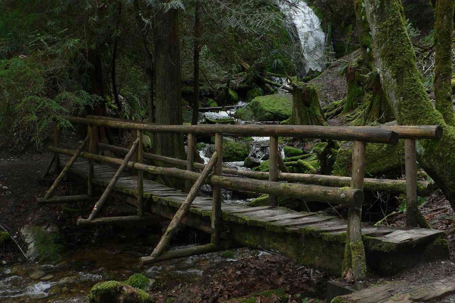 Secrets Of Washington's Ghost Creek | TouristSecrets