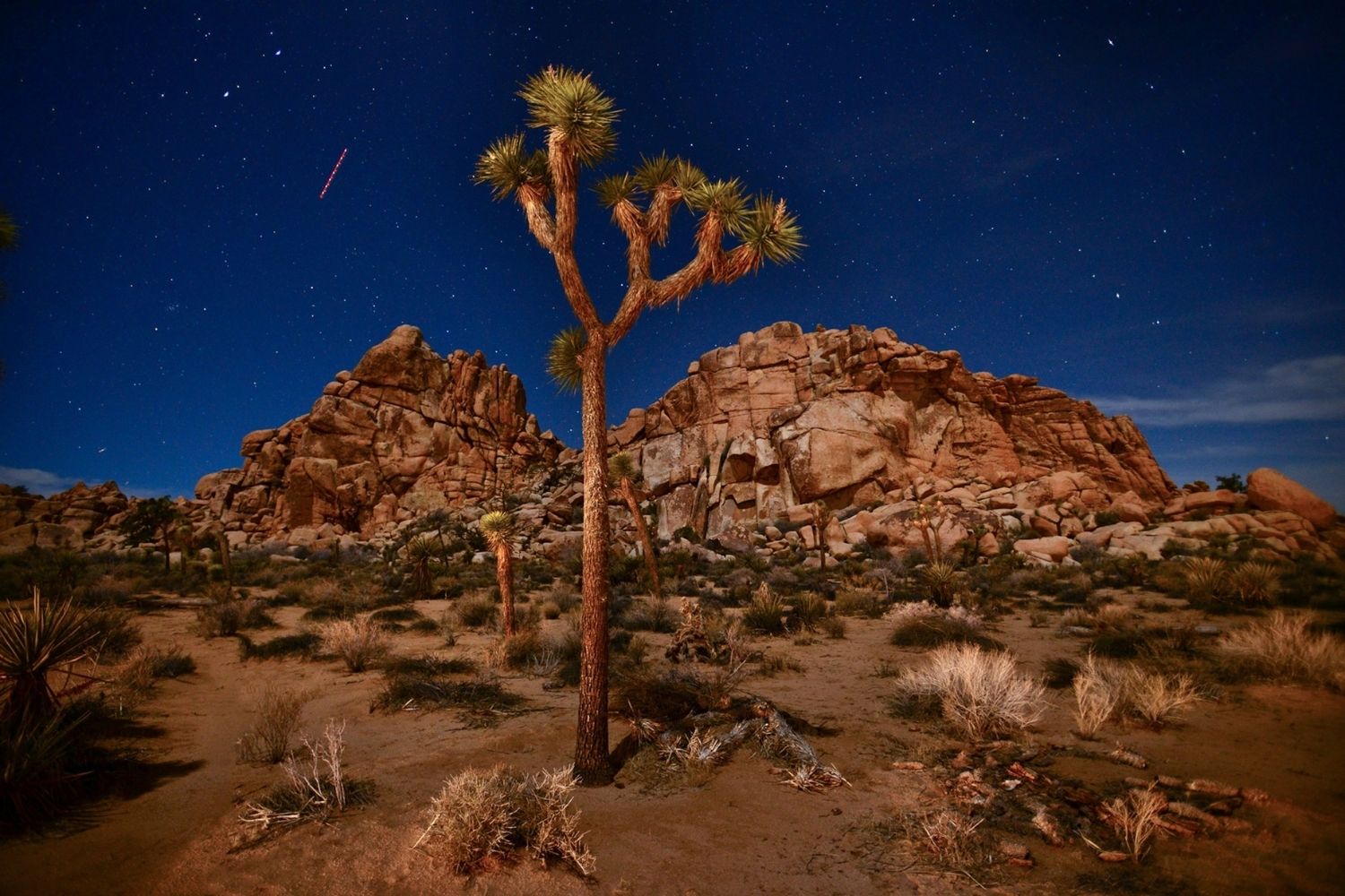 California's Hidden Valley In Joshua Tree Revealed | TouristSecrets