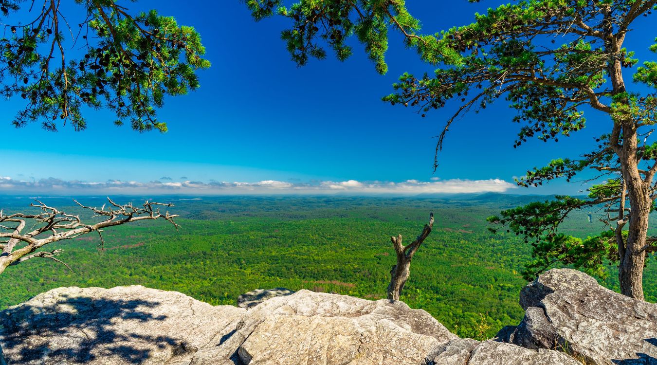 Hidden Gems Of Alabama's Cheaha State Park Bald Rock Trail | TouristSecrets