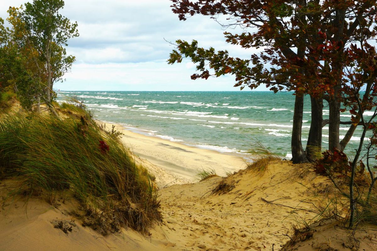 Hidden Gems Of Saugatuck Dunes State Park Beach Trail | TouristSecrets