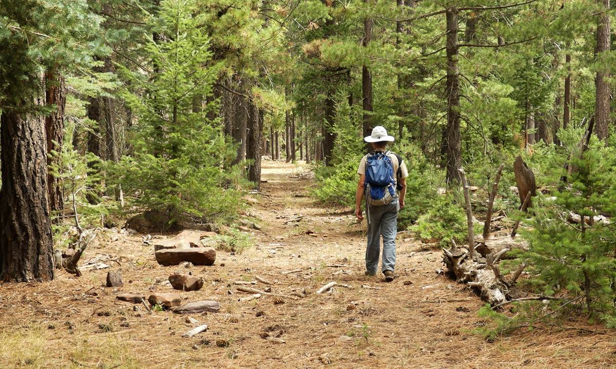 Secrets Of Arizona's General Crook Trail | TouristSecrets