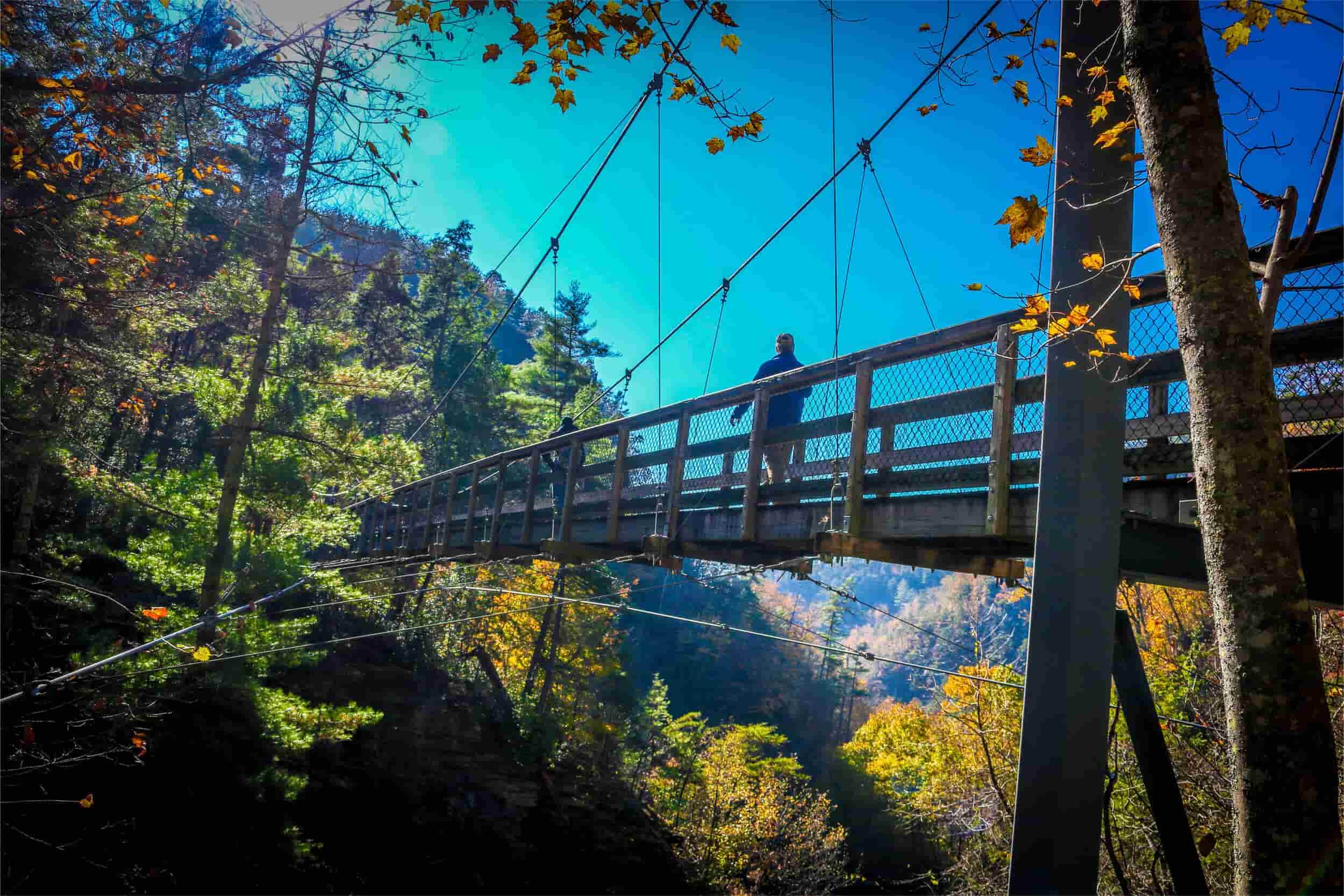 Secrets Of Georgia's Tallulah Gorge Canopy Bridges | TouristSecrets