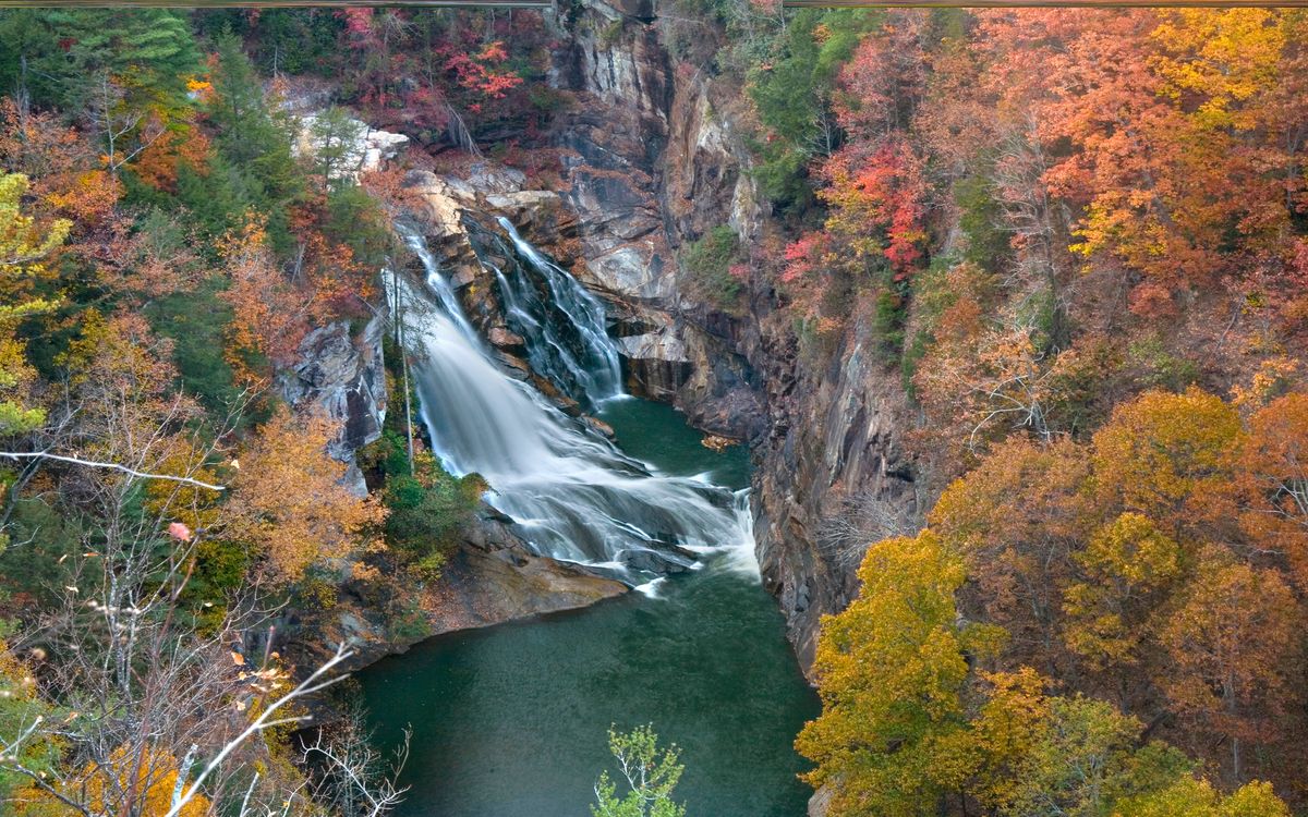 Secrets Of Georgia's Tallulah Gorge Forests | TouristSecrets