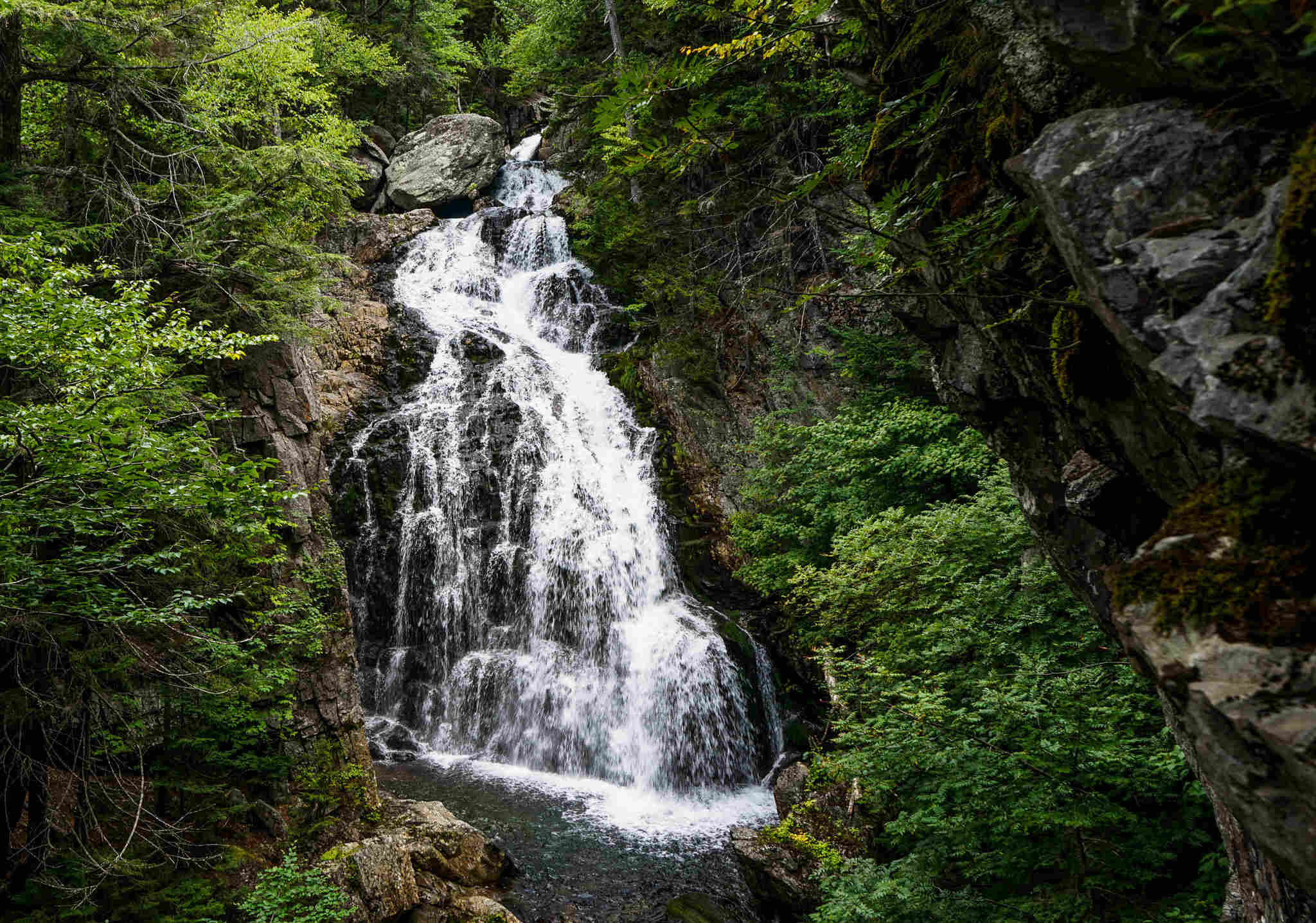 Hidden Forest Pools In New Hampshire's White Mountains | TouristSecrets