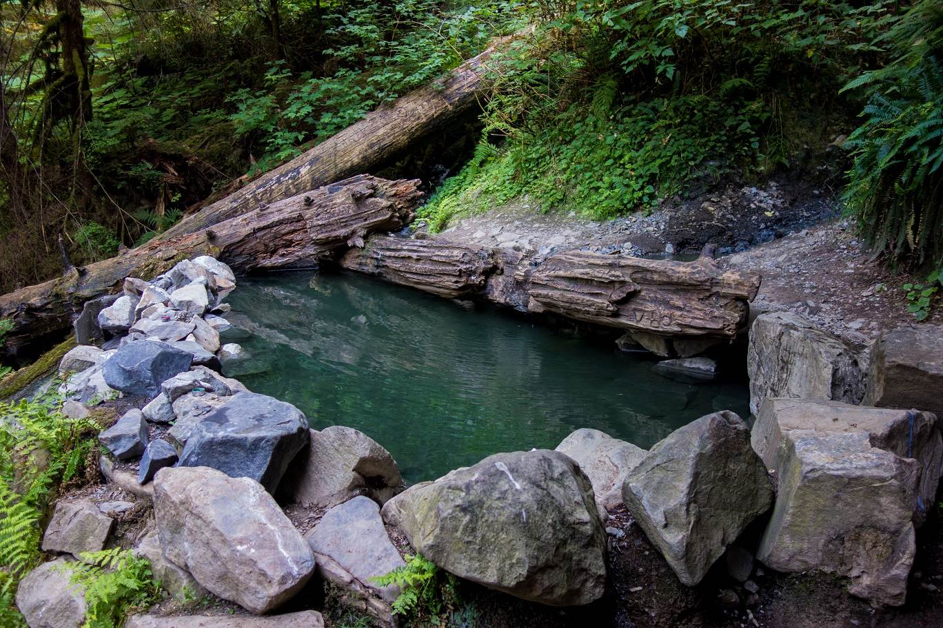 Hidden Gems Of Washington's Olympic Peninsula Sol Duc Hot Springs | TouristSecrets