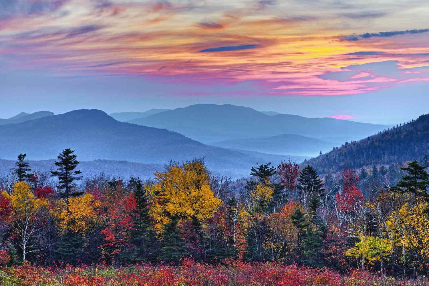 Hidden Logging History Of New Hampshire's White Mountain National Forest | TouristSecrets