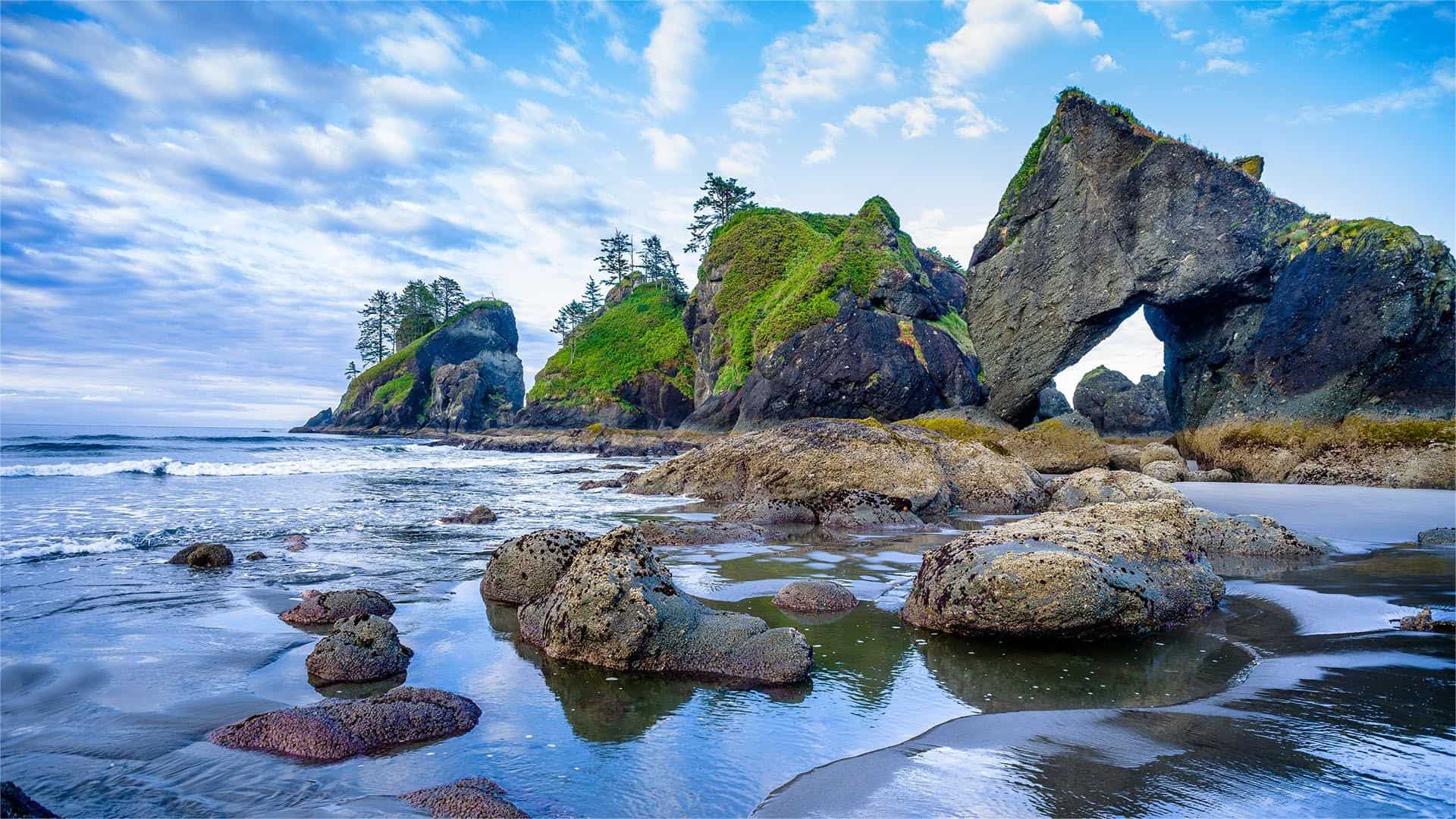 Secrets Of Washington s Shi Shi Beach Headlands TouristSecrets